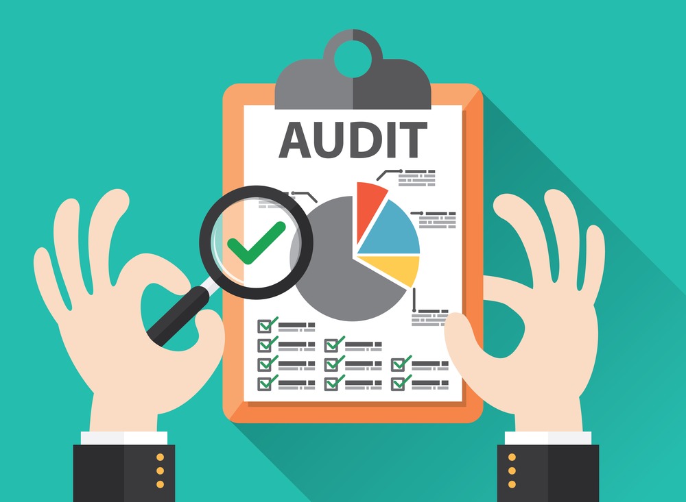 The Biggest Guide to CA Intermediate Audit (2021)