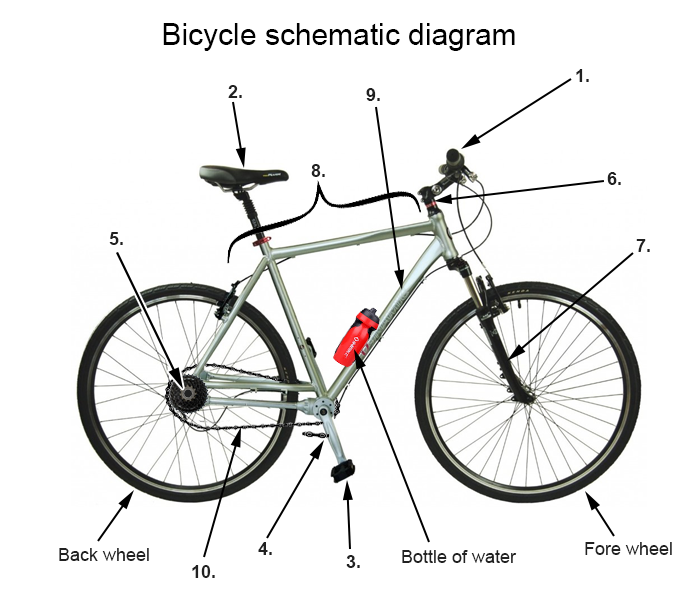 A Step-by-Step Guide to Label Diagrams in IELTS Reading Exams