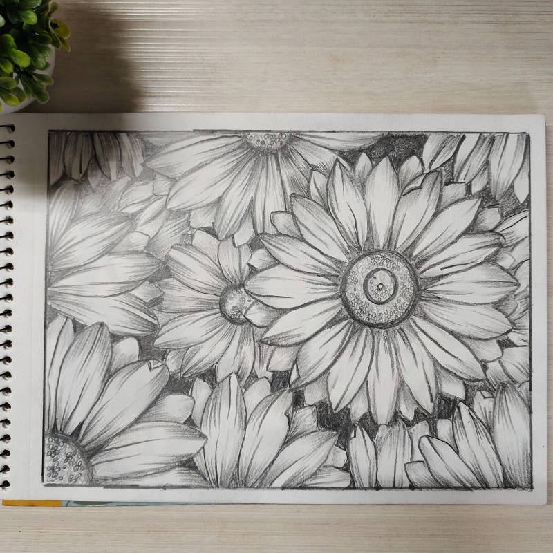 Pencil Shading Workshop