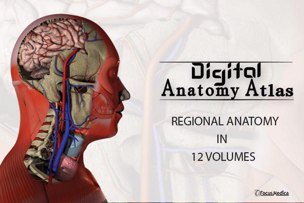 DIGITAL ANATOMY ATLAS