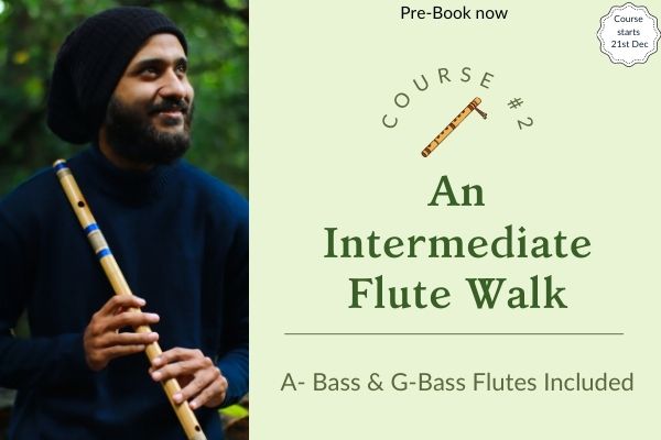 Learn Flute in 15 weeks + An Intermediate Flute Walk ( 3 Flutes Included)