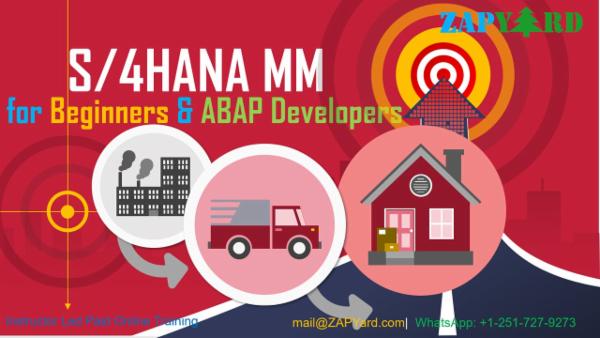 SAP MM for Beginners and ABAP Developers