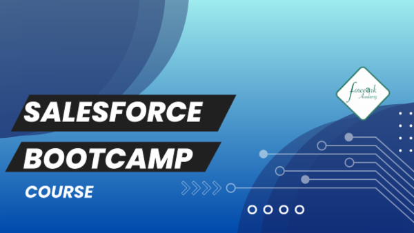 Salesforce Bootcamp Course