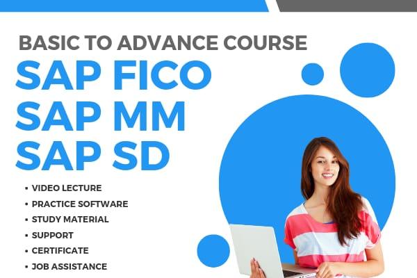 Sapfico Sapmm Sapsd Basic To Advance Course