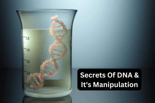 Secrets of DNA and Genetic Manipulation