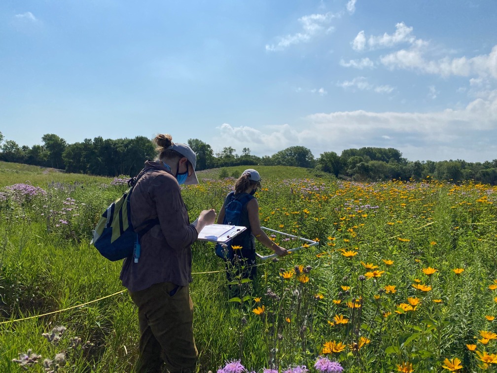 Integrated Monarch Monitoring Program