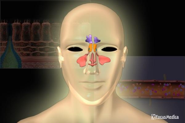 OTOLARYNGOLOGY