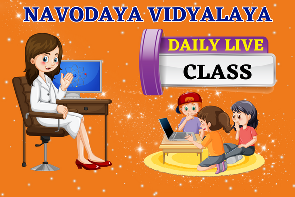 The Speedy Brains courses