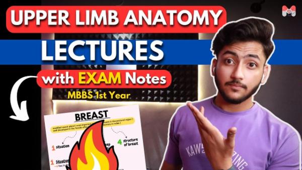 Upper Limb Anatomy Notes