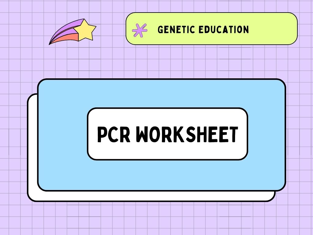 PCR worksheet