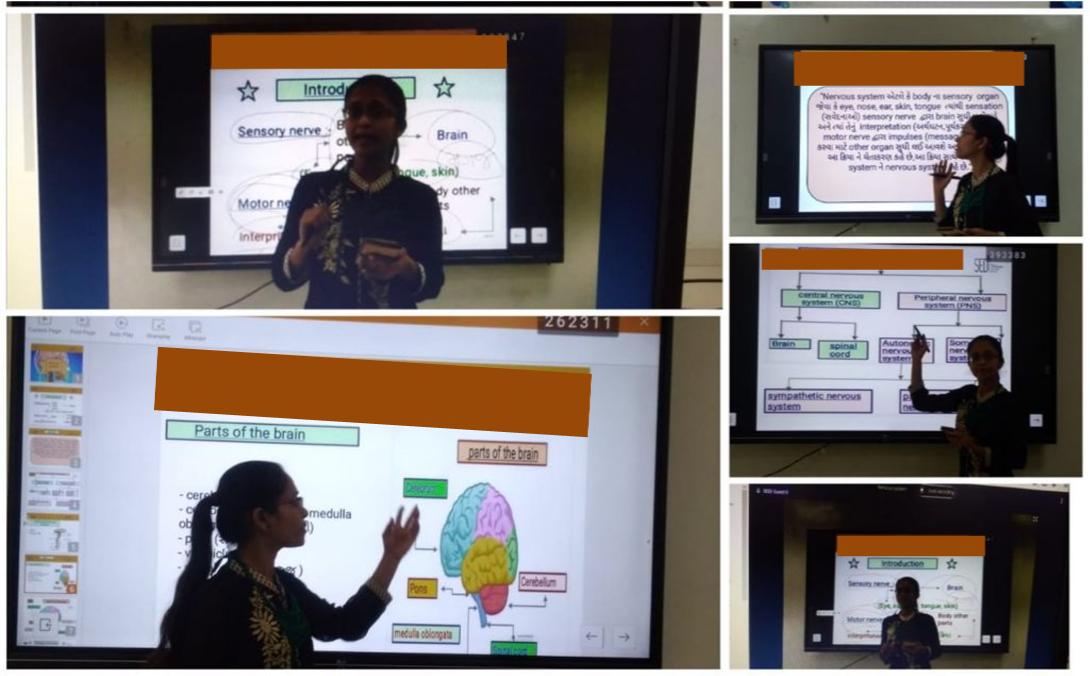 Just Learn | Online Learning Management System