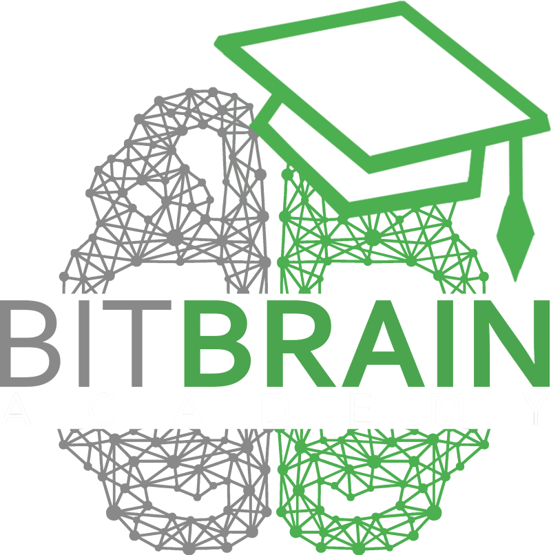 BITBRAIN ACADEMY