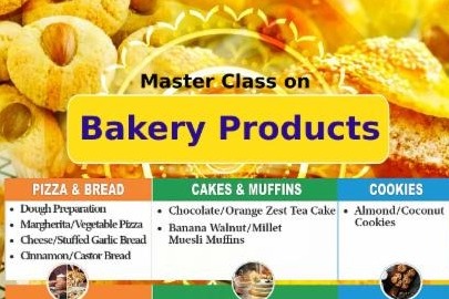 Food Industry Capacity and Skill Initiative (FICSI)