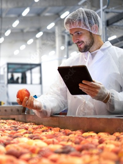Food Industry Capacity and Skill Initiative (FICSI)