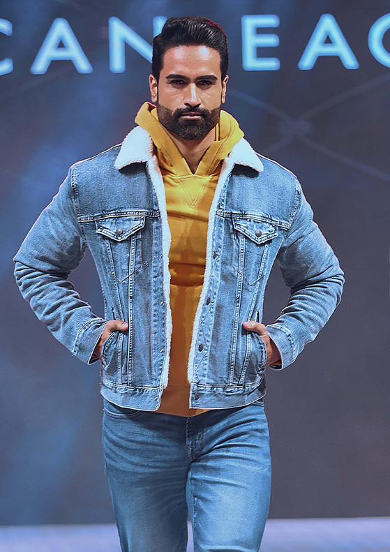 OVERVIEW OF THE MODEL MENTORSHIP PROGRAM