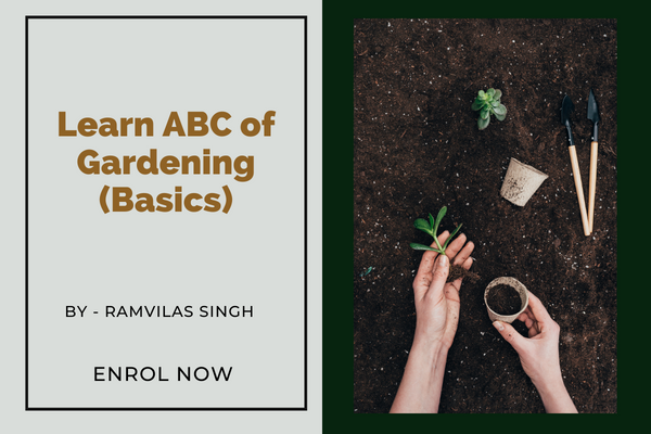 ABC of Gardening (Basics)