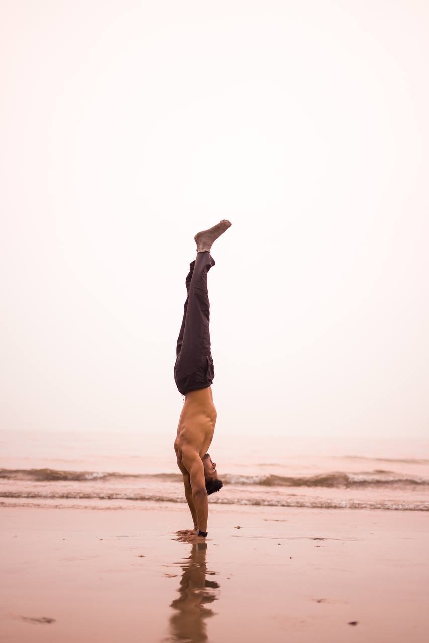 Best calisthenics website & courses